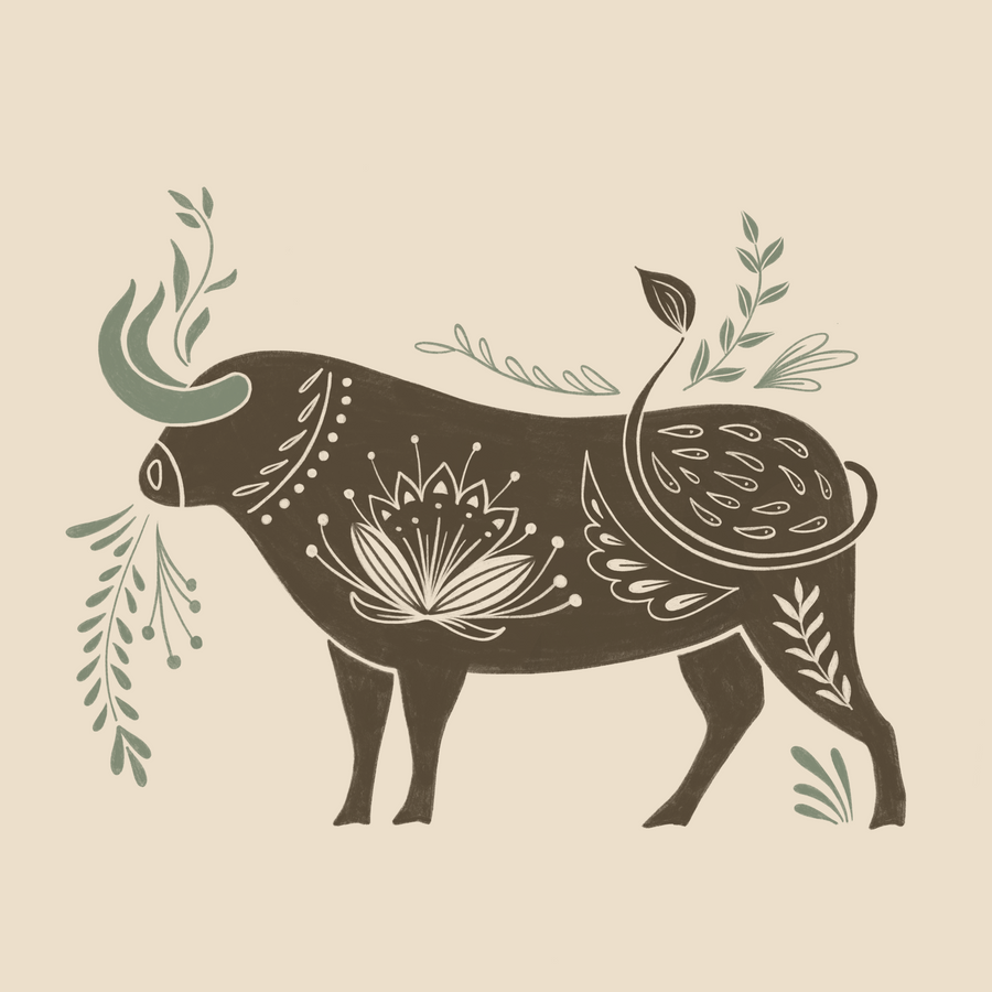 Crystal Shop – Uncommon Rocks